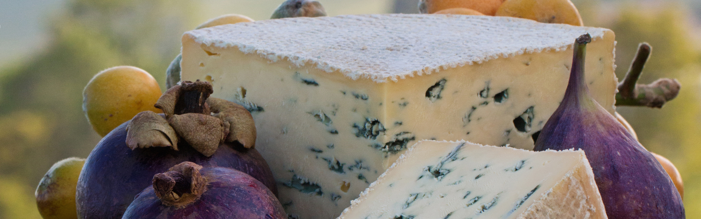Varieties — Berrys Creek Gourmet Cheese