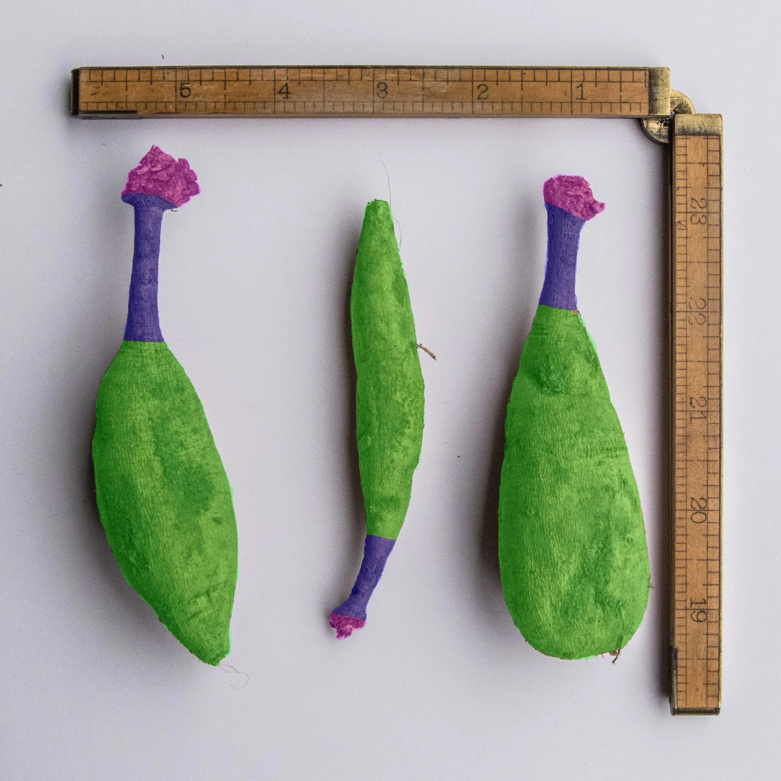 Dahlia Tuber and Splitting Guide — Dahlia | SummerDreamsFarm