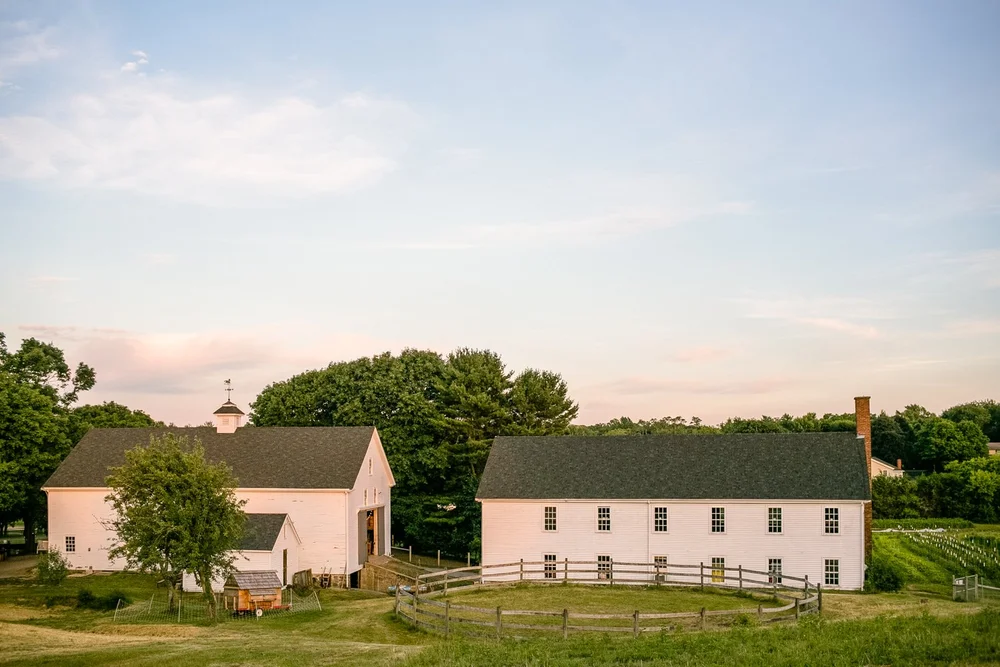 Wright Locke Farm Wedding Photographs - Mark Davidson