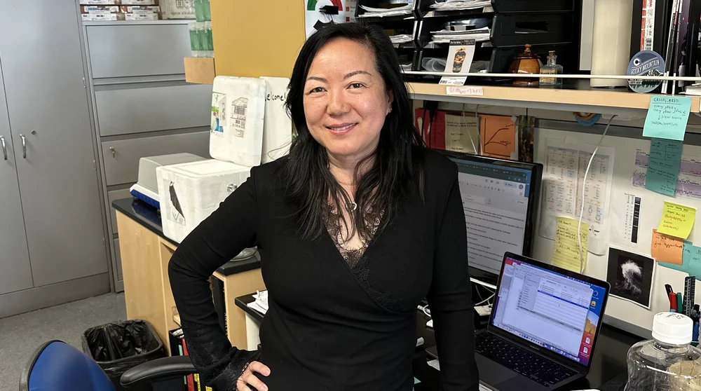 Shengwei Yu — Hatfull Lab