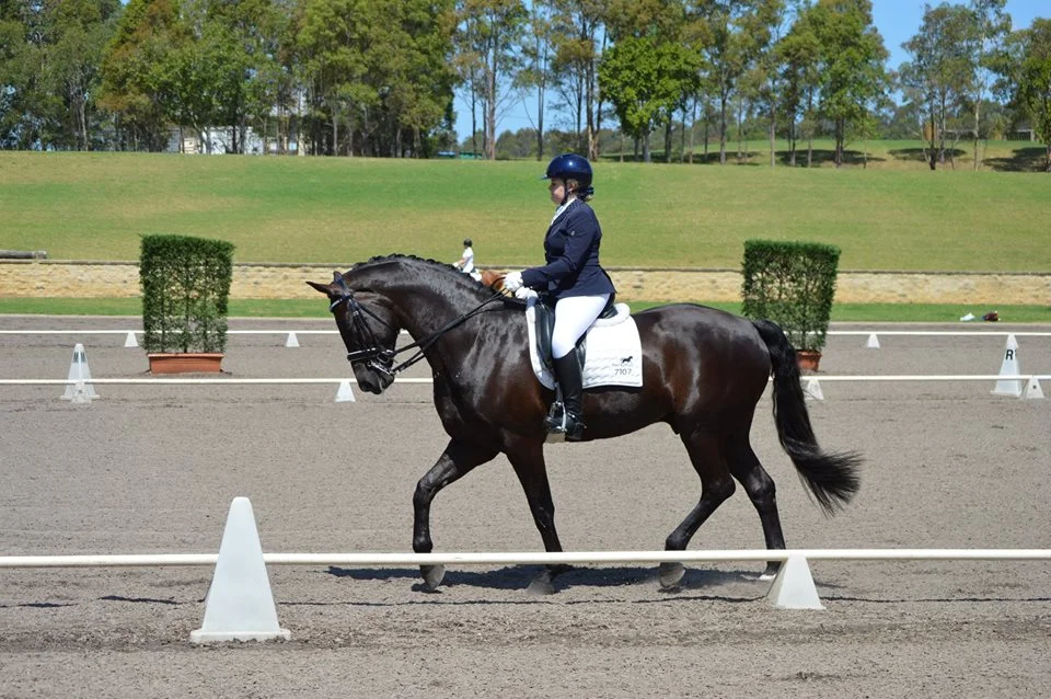 Callum Park Starbucks — Callum Park Equestrian