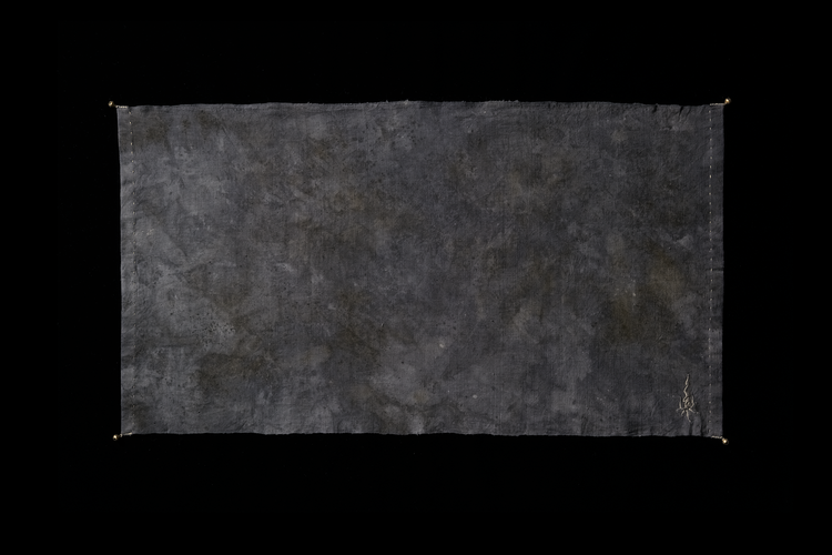 scrolls — project coal