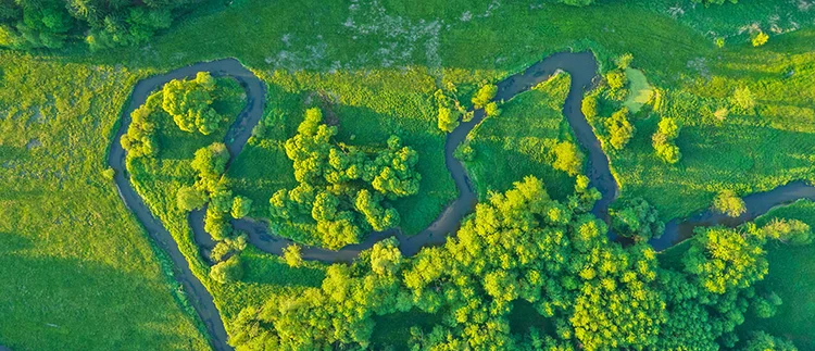 Earth Law Center | Champions for the Rights of Nature