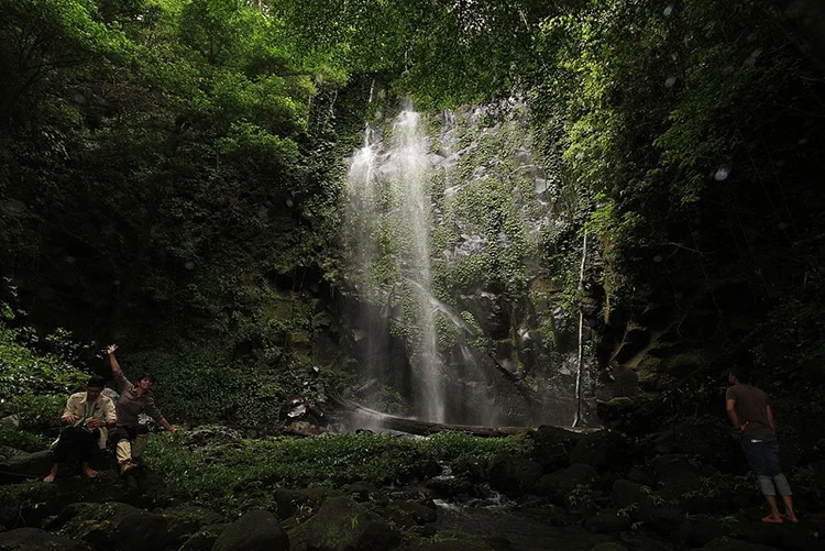 The Indonesian Rainforest needs Earth Law to combat Palm Oil production ...