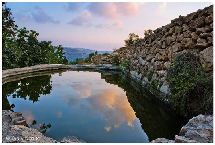 Securing Rights for the Ein Lavan Natural Spring — Earth Law Center