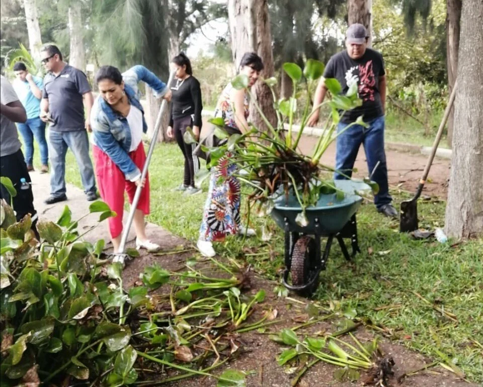 ELC Introduction: Getting to Know Claudia Brindis, ELC's Mexico Lead ...