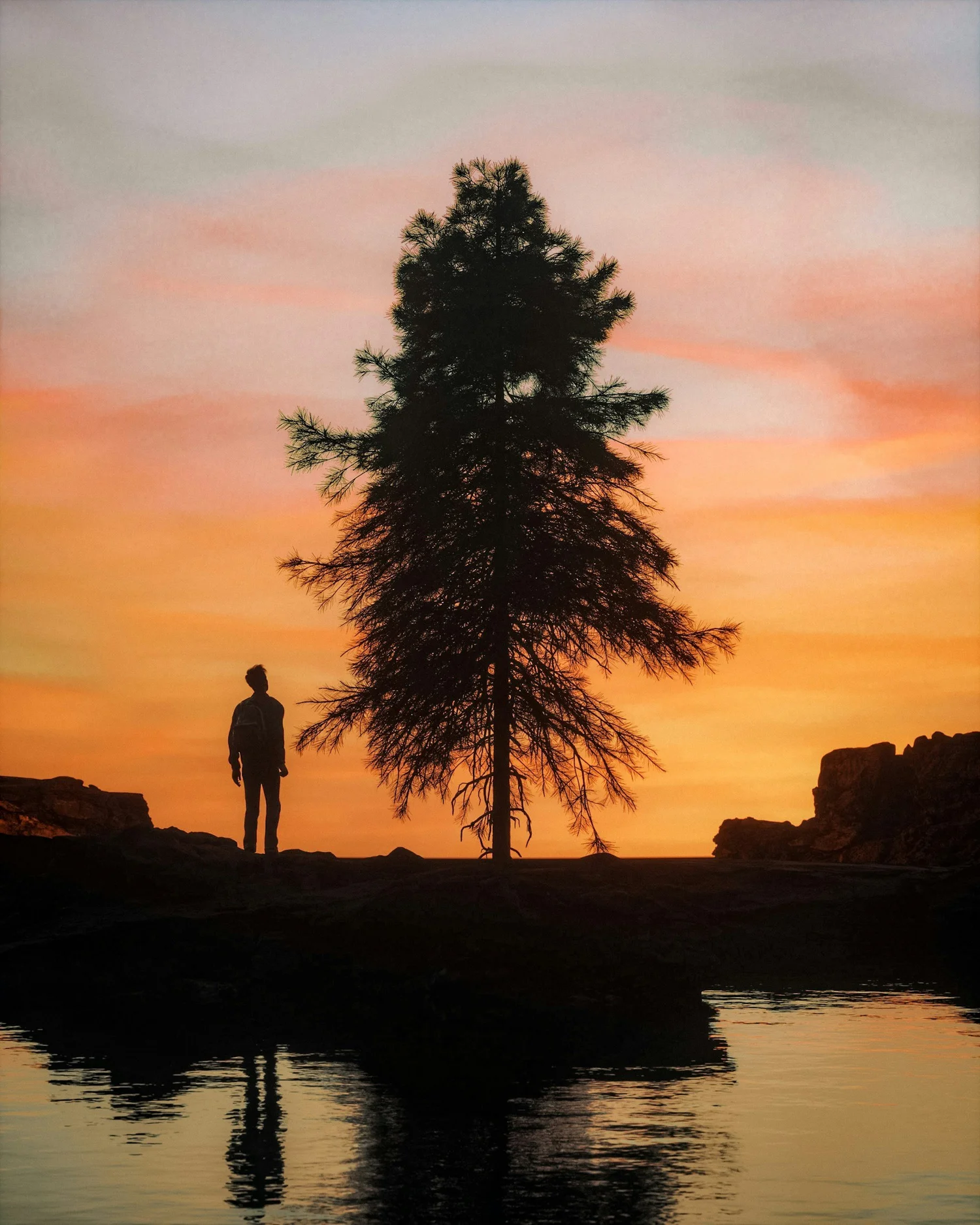 Earth Law Center | Donate to Protect Nature's Legal Rights