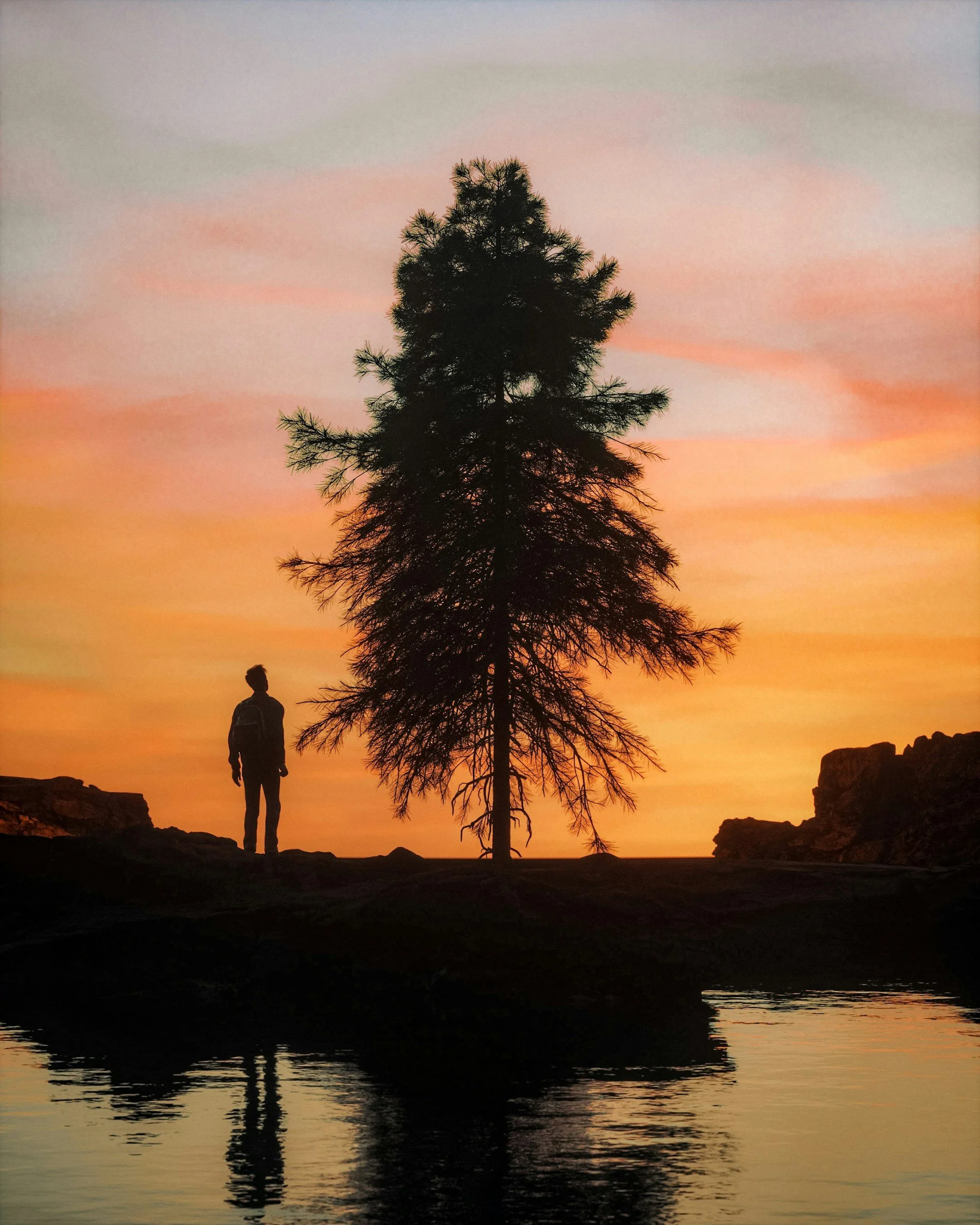 Earth Law Center | Donate to Protect Nature's Legal Rights