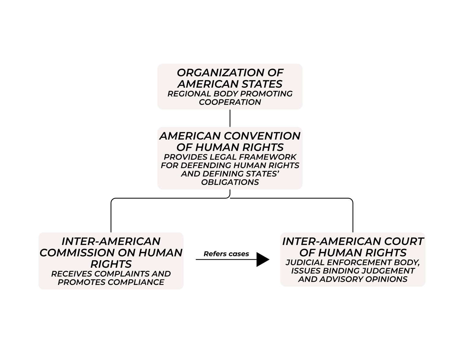 Inter-American Court of Human Rights Recognizes Rights of Nature for ...
