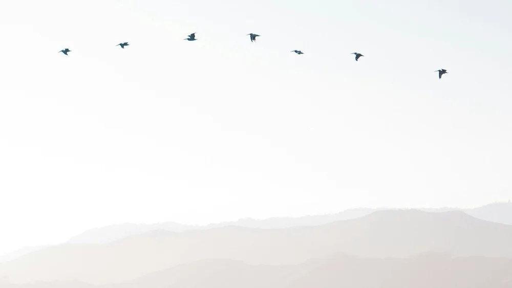 Earth Law Center | Donate to Protect Nature's Legal Rights