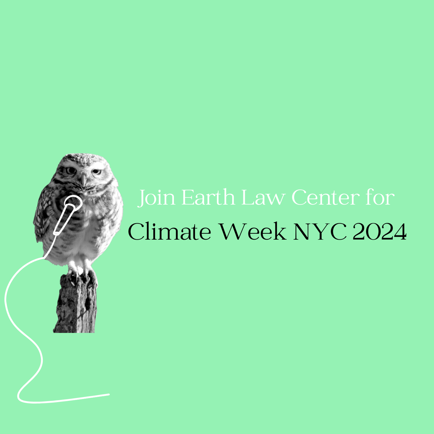 Earth Law Center | Aligning our Laws with Nature's Laws