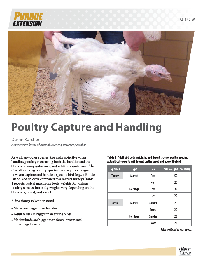 COUNTY FAIR KIT — Indiana State Poultry Association