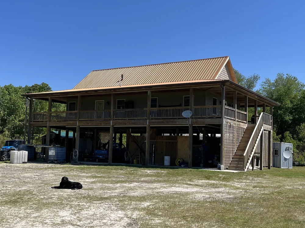 Bear Hunts — B and D Hunt Club