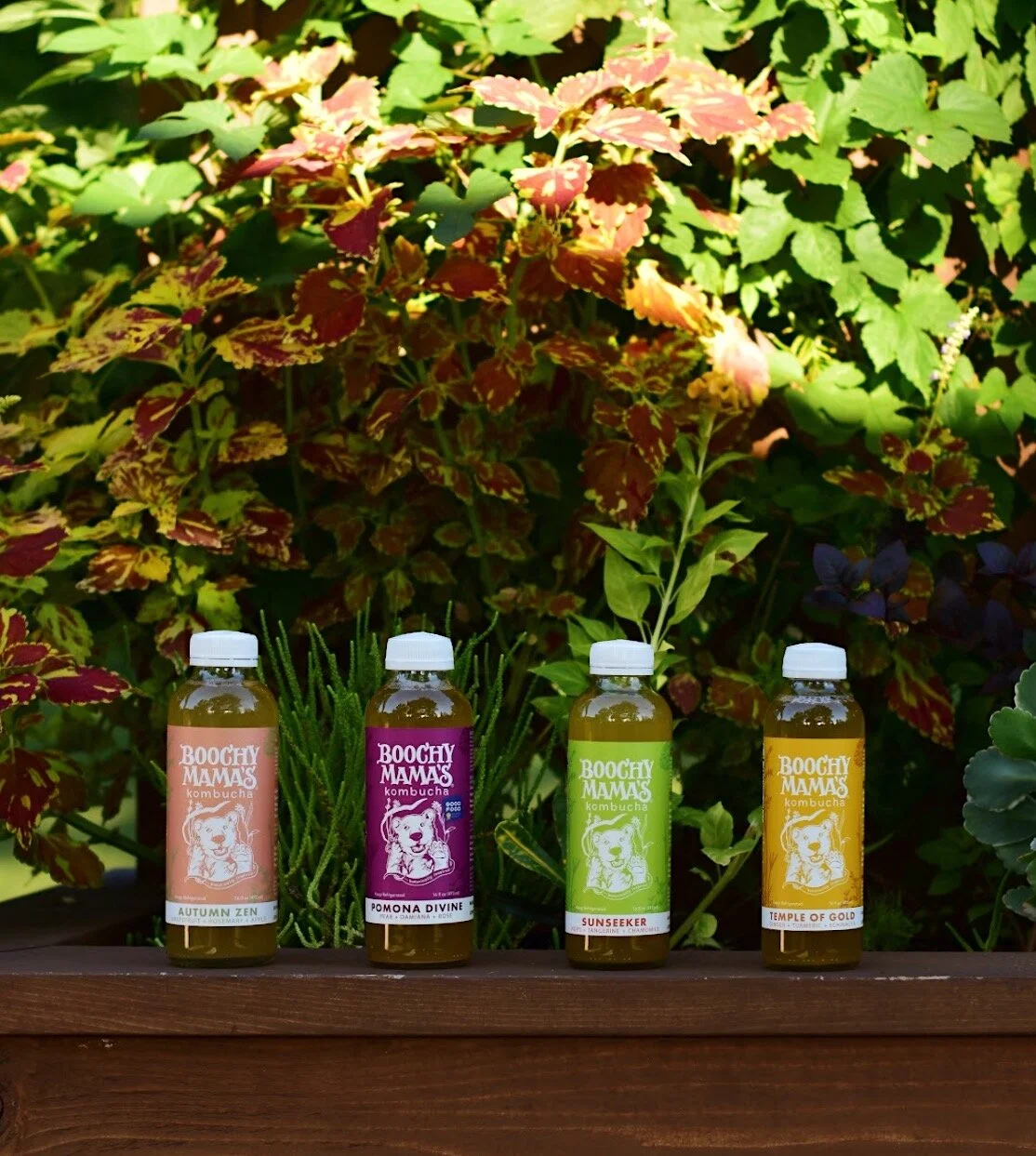 Boochy Mama's Kombucha. Love your Mama.