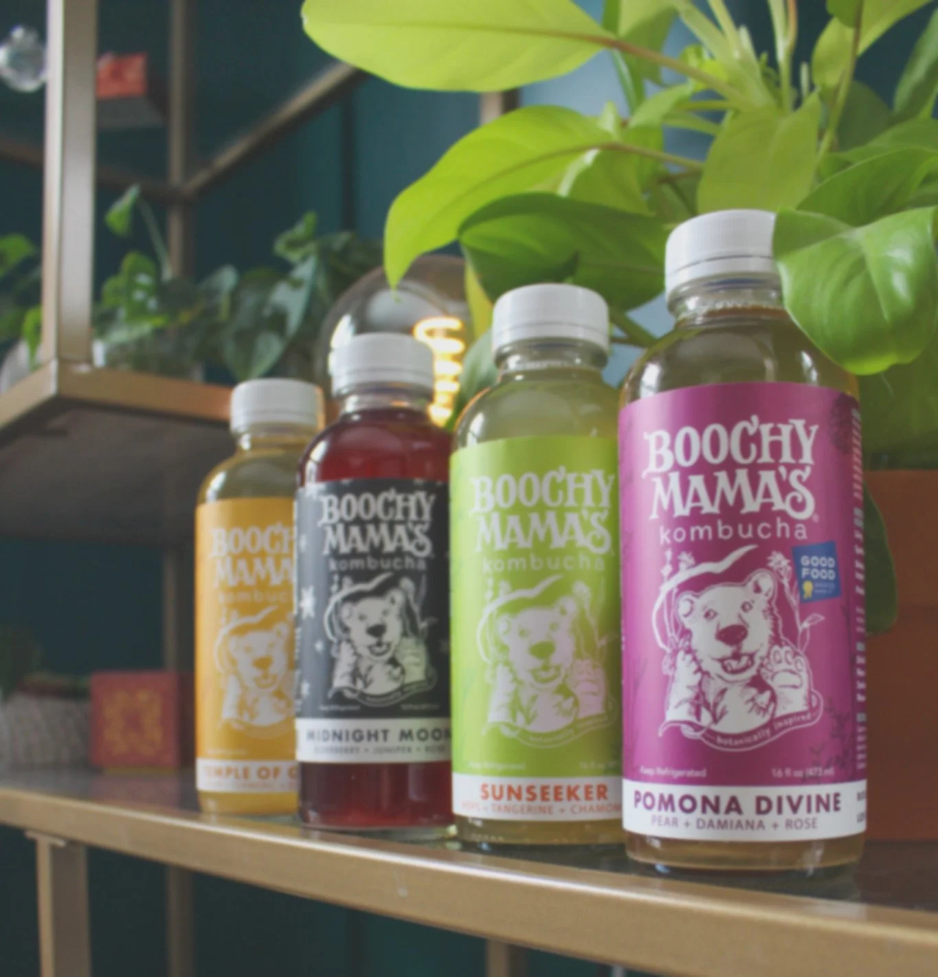 Boochy Mama's Kombucha. Love your Mama.