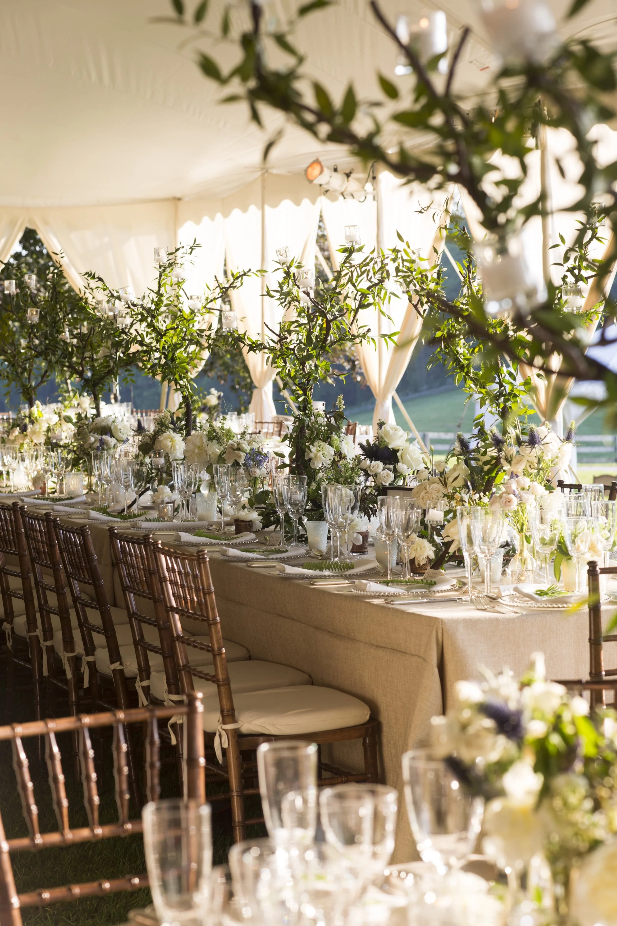 Nancy Harris Events