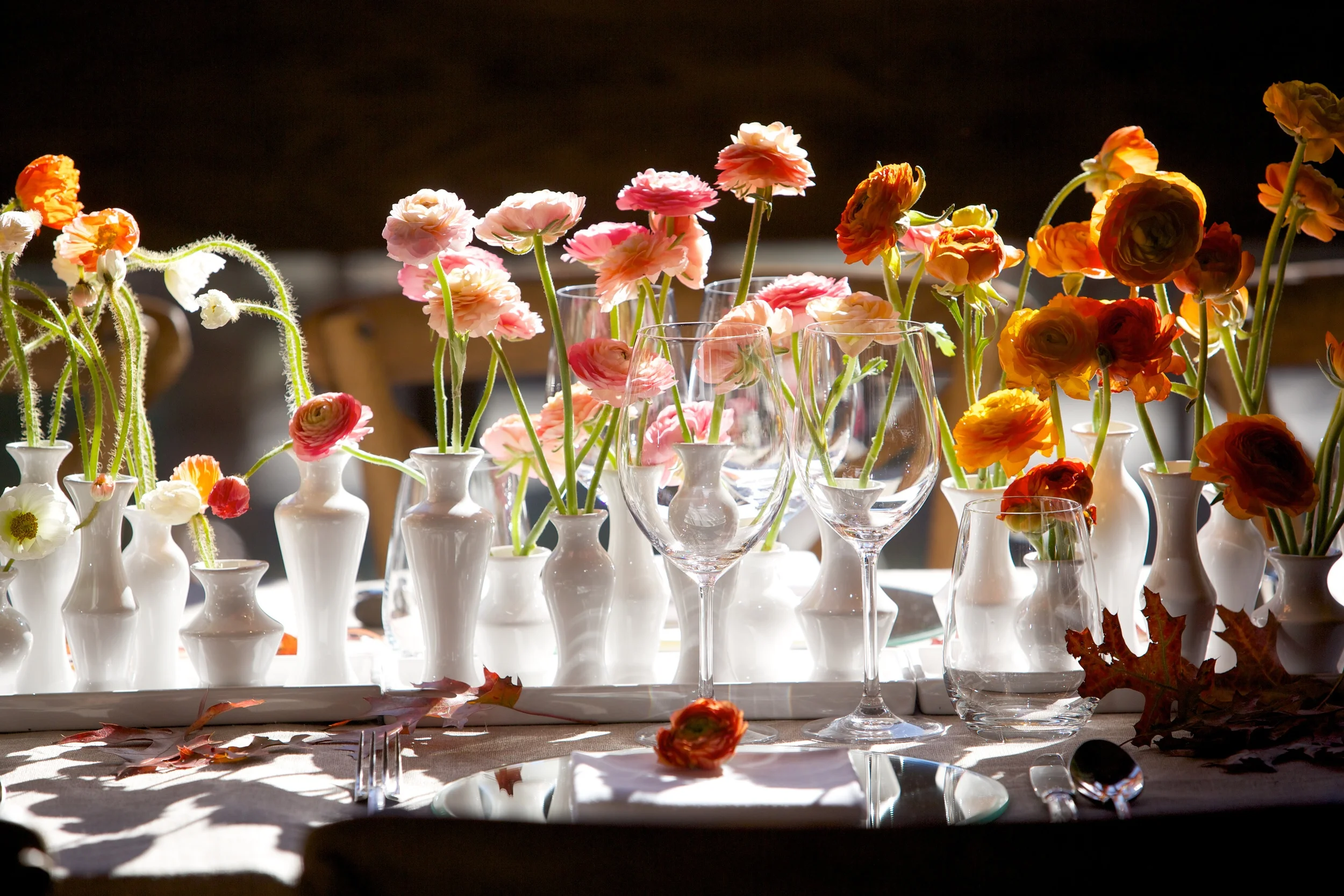 Nancy Harris Events