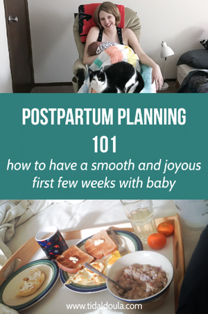 Postpartum Planning 101 — The Tidal Doula