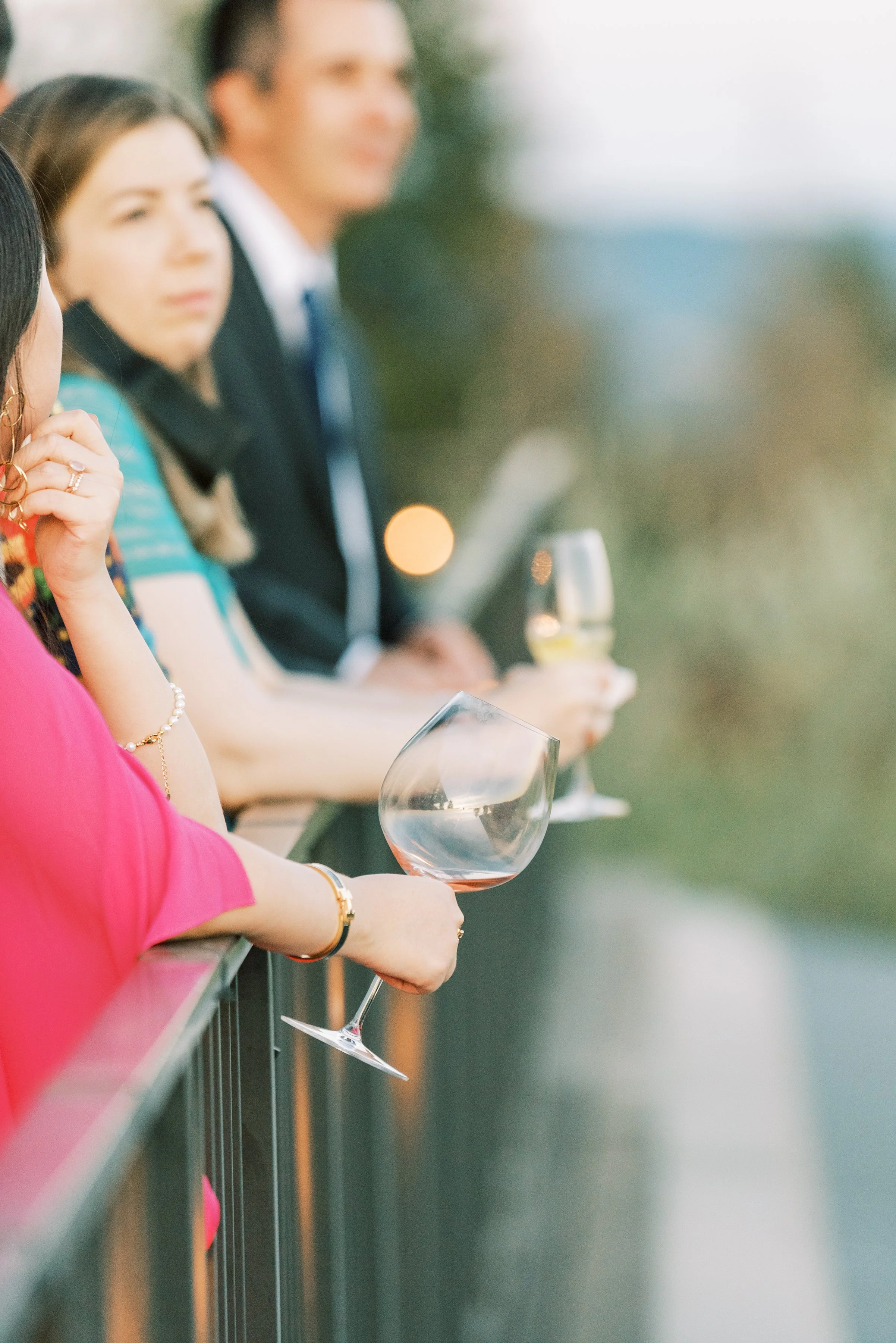 Clara + John | Domaine Roy & fils — Port + Palm Co.