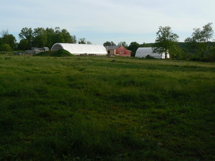 the farm — Cato Corner Farm