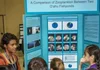 Hawaii State Science Fair — Hawaii Academy of Science