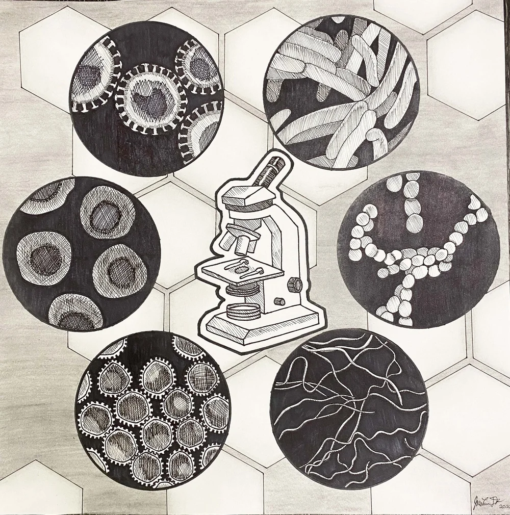 STEM Poster Contest — Hawaii Academy of Science