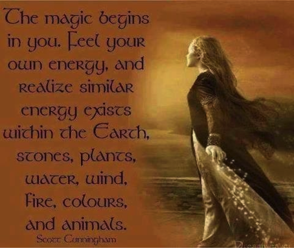 Oneness = inclusivity and diversity — Sunday Soul Connection