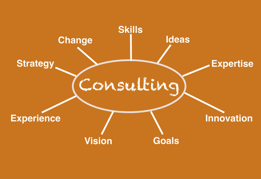 A Profit from Another Land: The Argument for Utilizing Consultants in ...