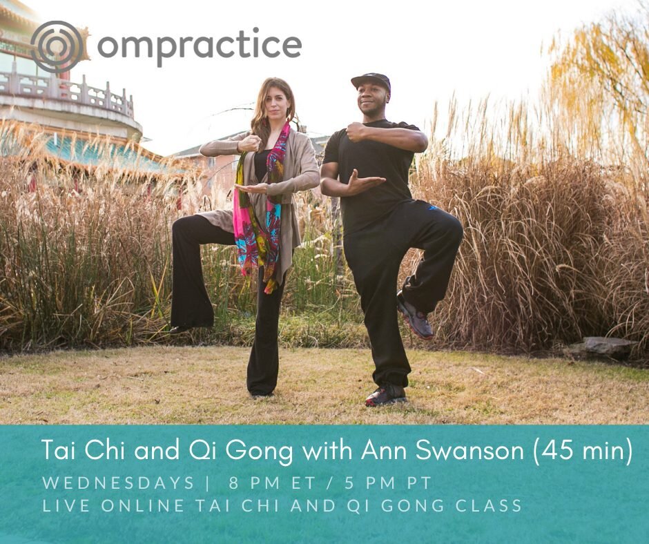 Wellness for Arthritis - Ann Swanson