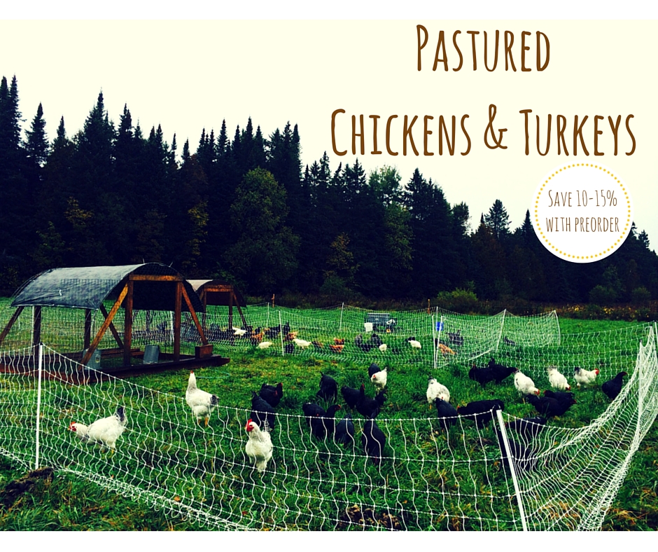 News From the Farm — Black Dirt Farm