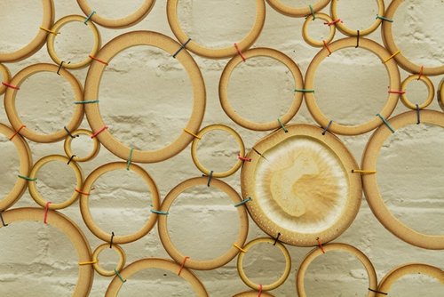 Ensō — Anne F Crumpacker