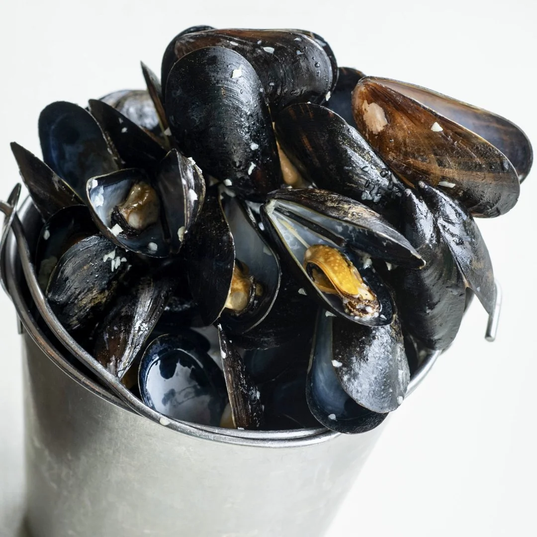 Blue Marlin Grille — News, Gallery, Events for Blue Marlin Grille ...