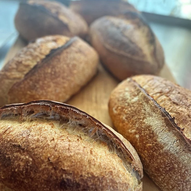 Alchemy Bread