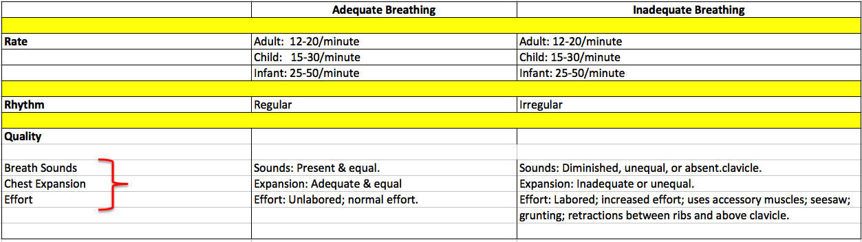 Respiratory Emergencies-EMT — Hopper Institute®