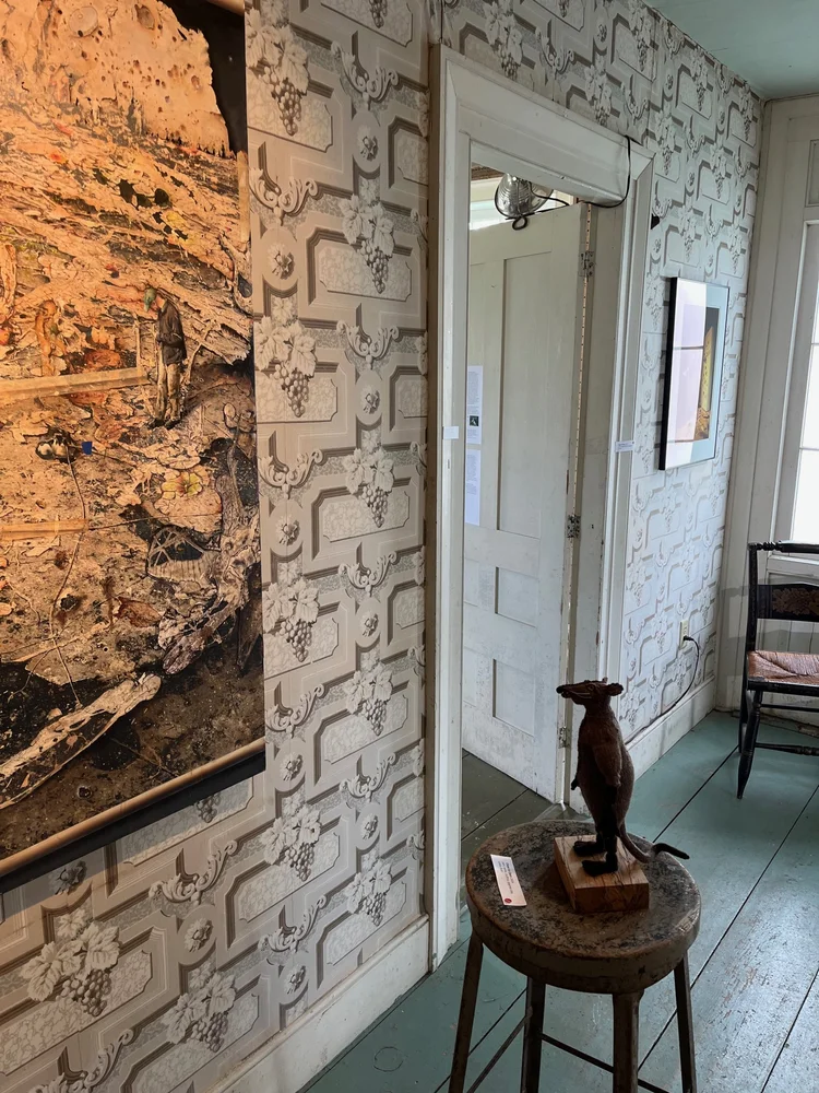 Windows into Wonderment — LAYL McDILL