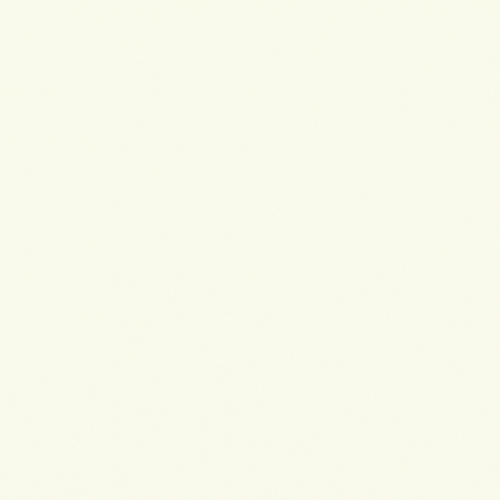 Mid-Century Macon — Historic Macon Foundation