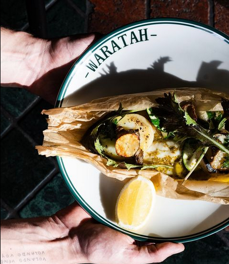 New Player | Waratah — The Sydney Connection