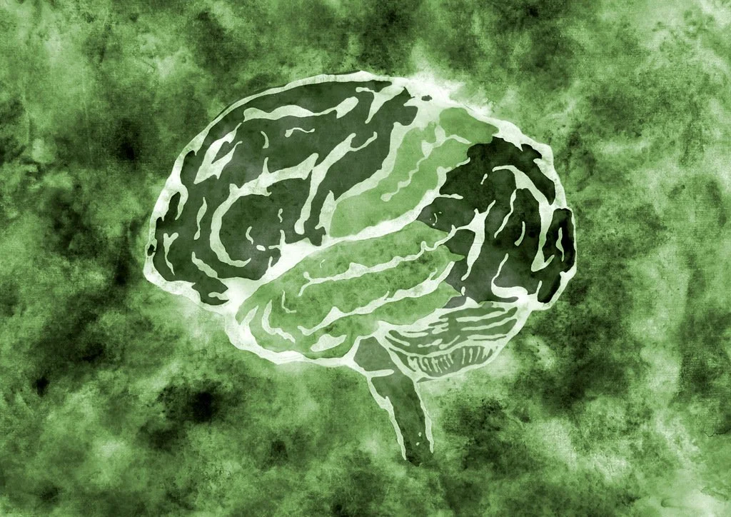 Image Catalog #3 - NEUROSCIENCE — DR.RENÉE HEALING ART