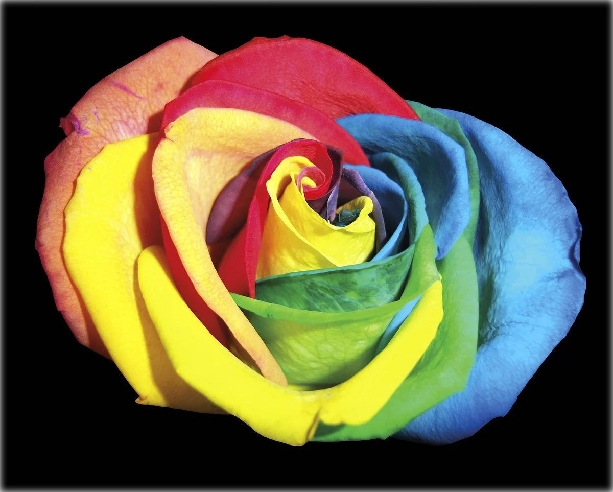 Image Catalog #2 - INSPIRING STORIES — DR.RENÉE HEALING ART