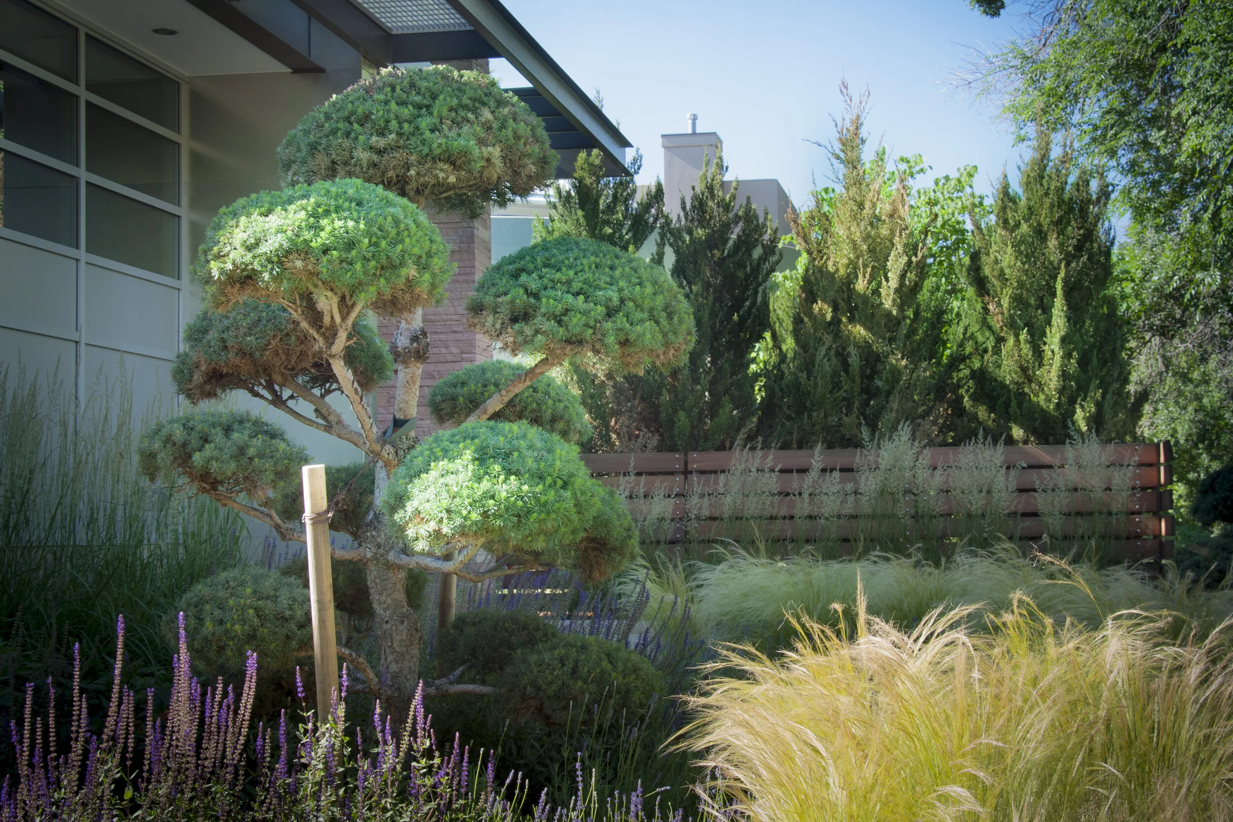 Marpa Landscape Architecture