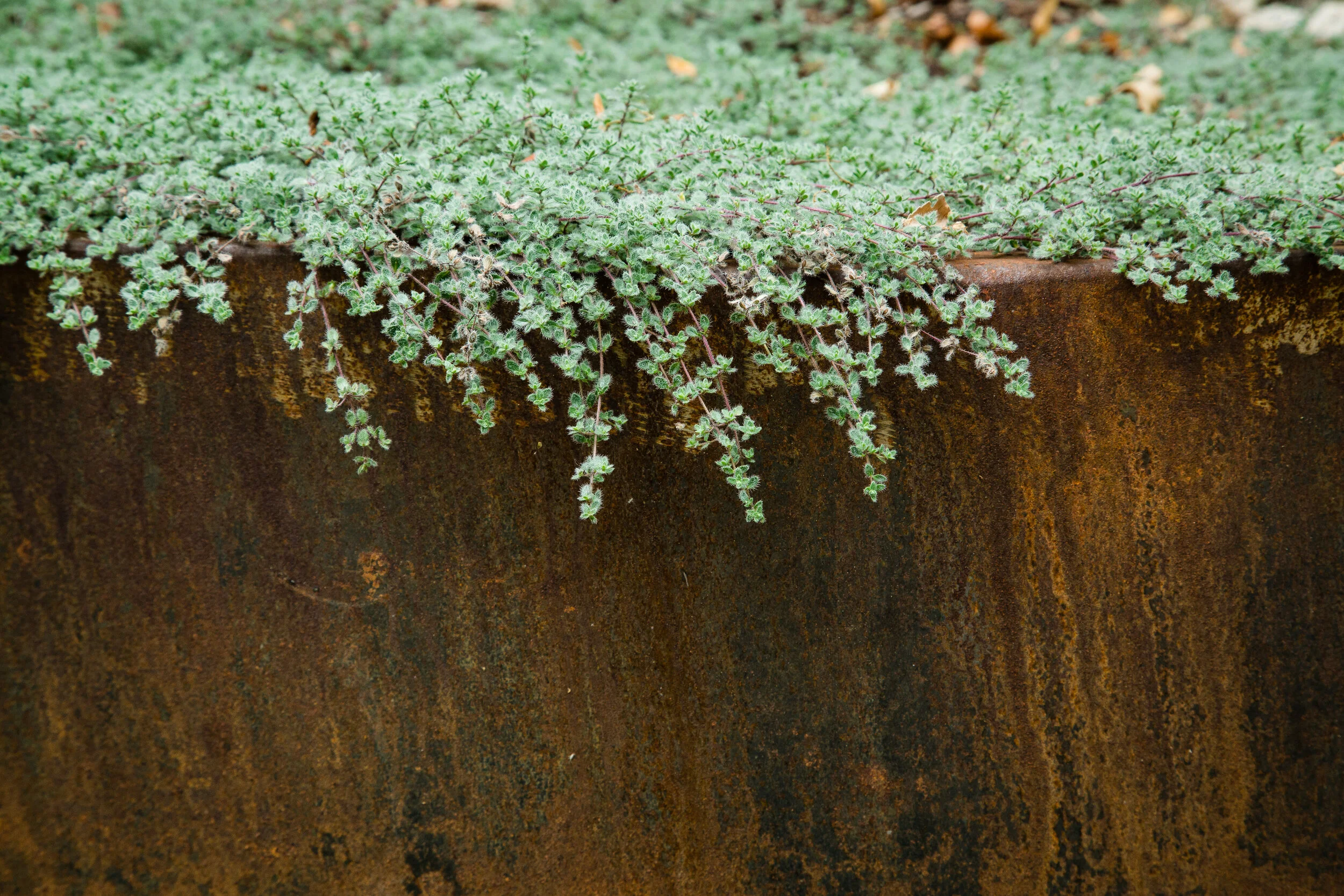 Marpa Landscape Architecture