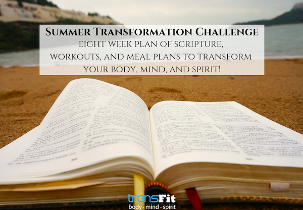 ☀️Your Summer Transformation Starts Now! — TransFit