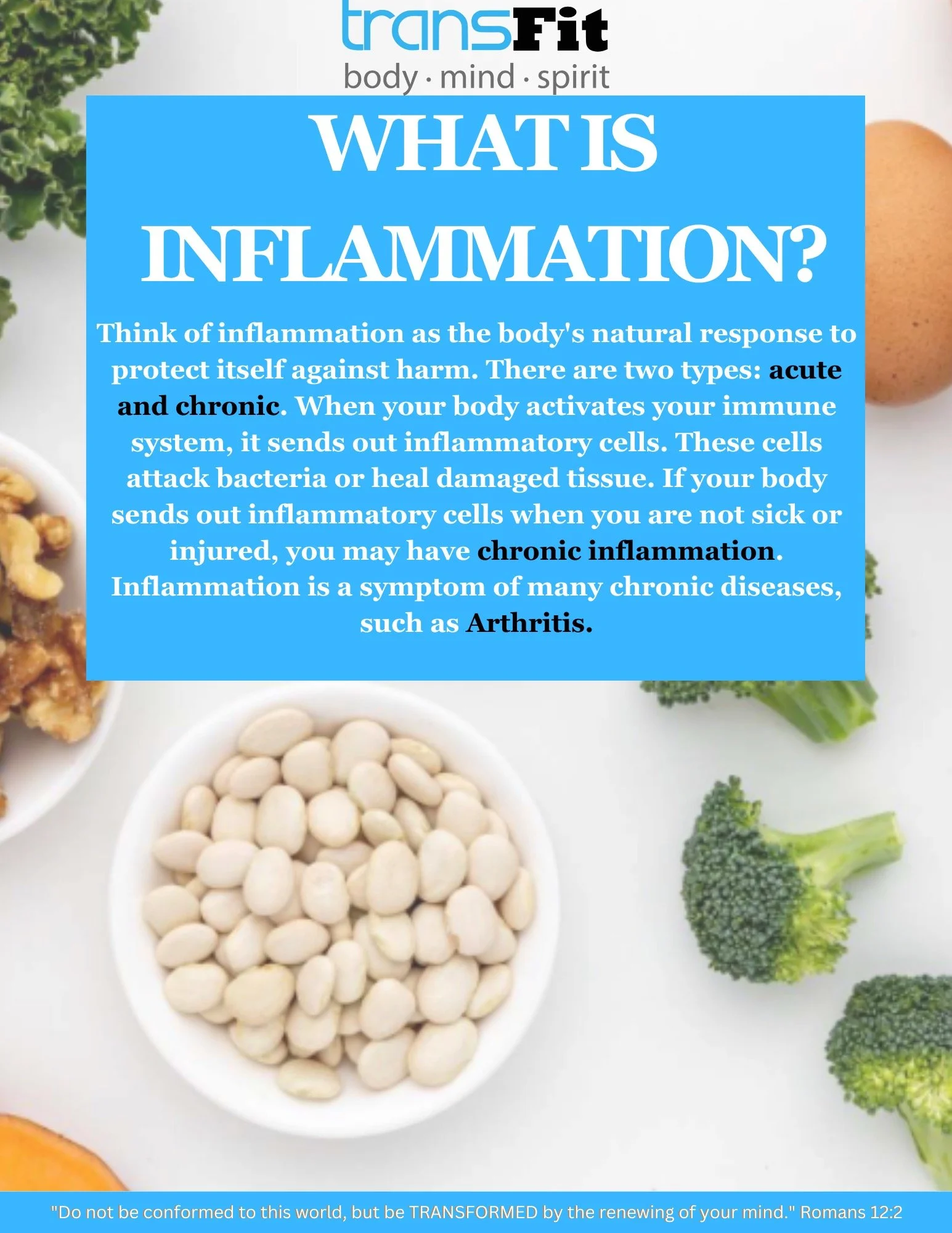 Guide to Reduce Inflammation in the Body — TransFit