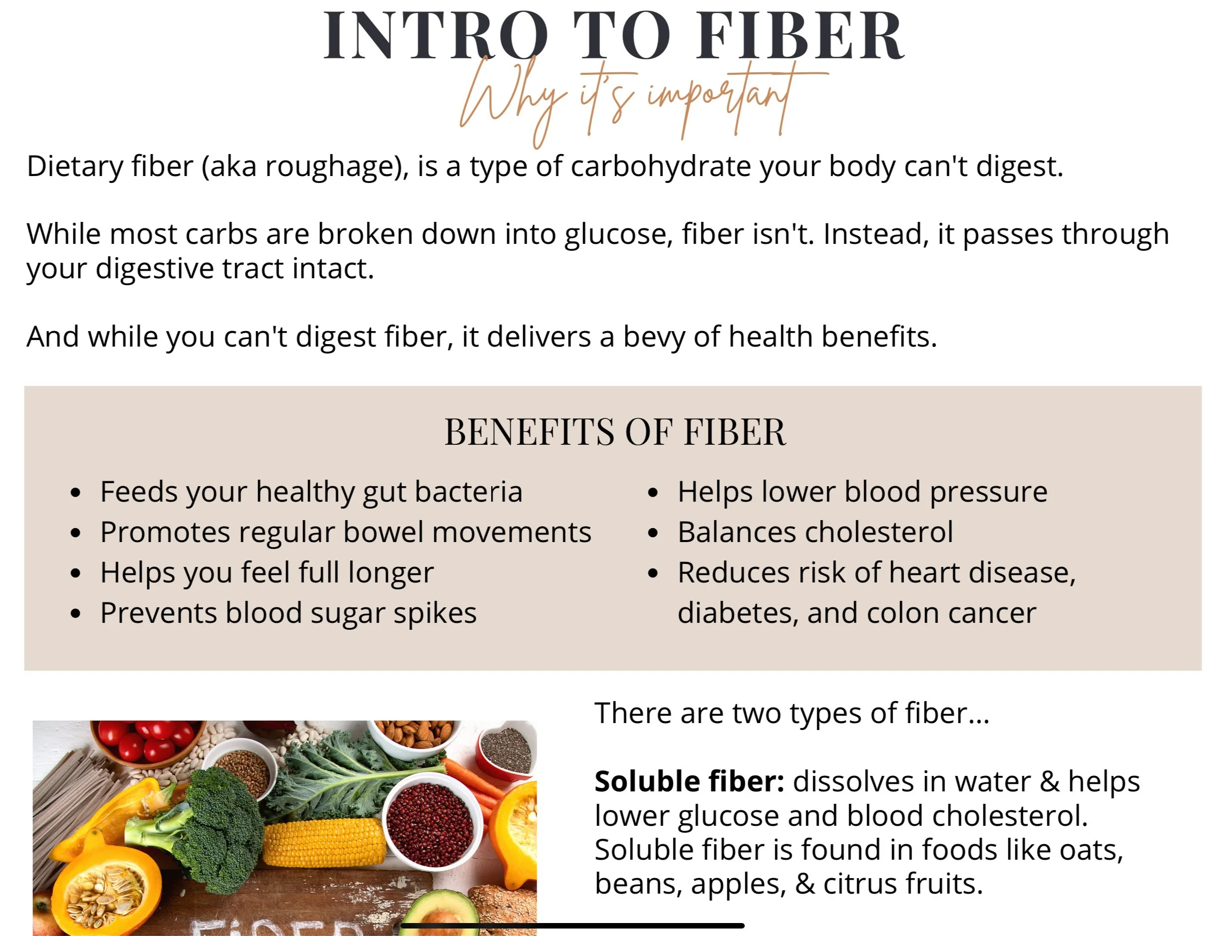 Why Fiber is Important in your Daily Nutrition — TransFit