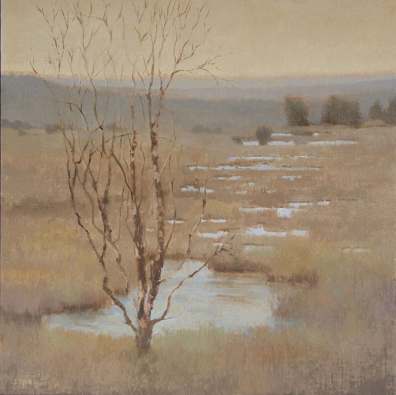 Landscape Paintings by Beth Cole, Nebraska Artist — Beth Cole