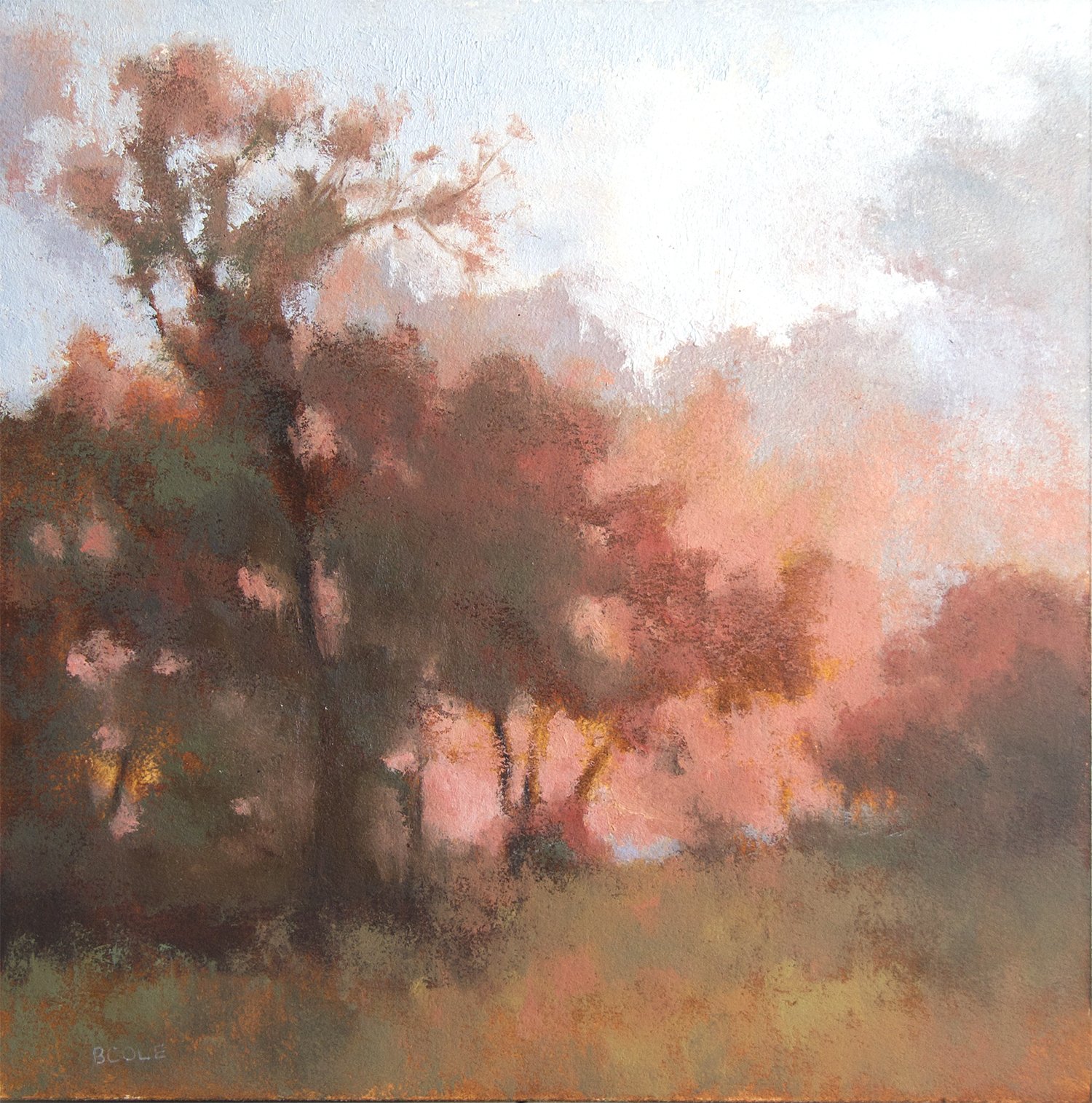 Landscape Paintings by Beth Cole, Nebraska Artist — Beth Cole