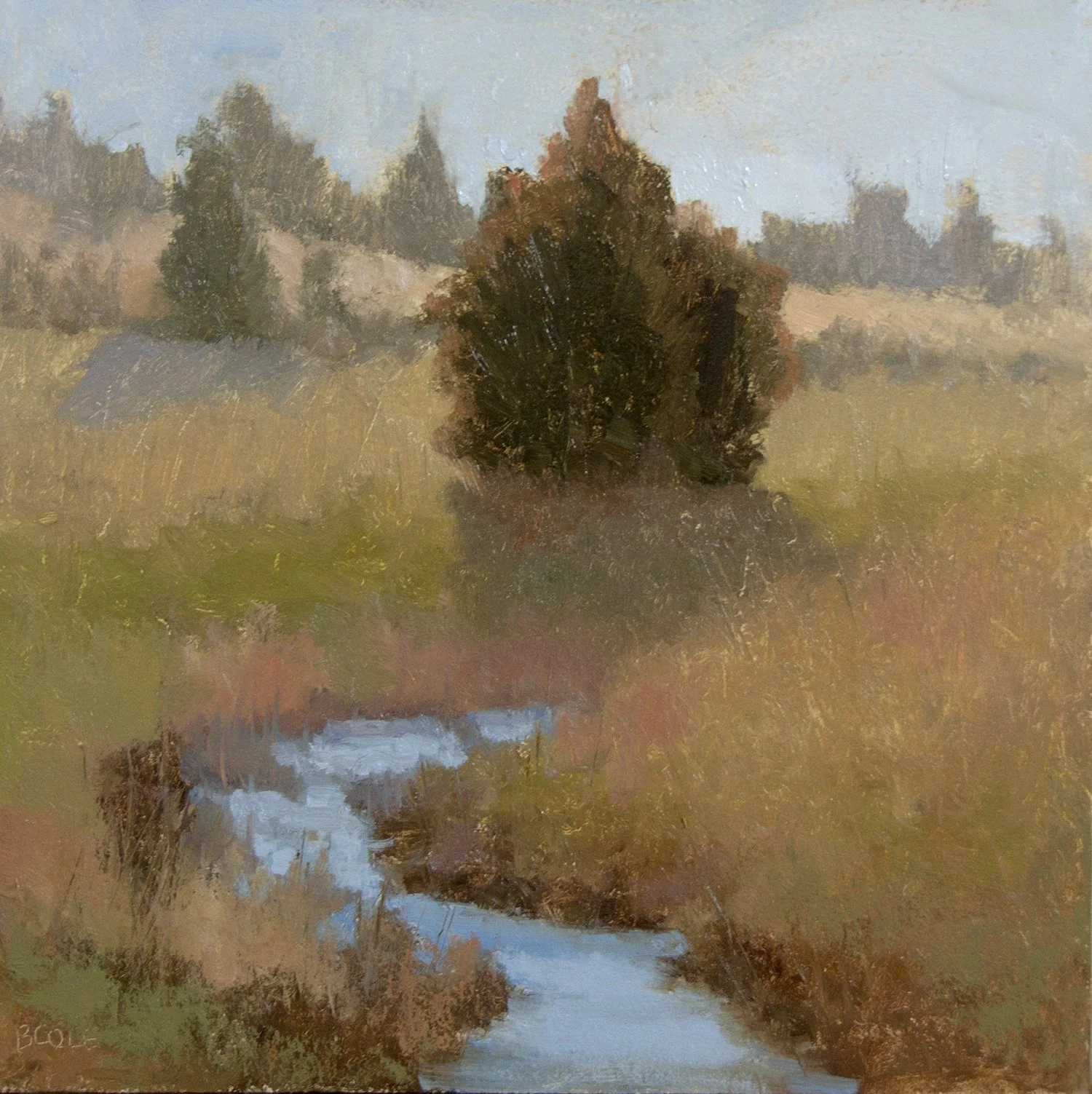 Landscape Paintings by Beth Cole, Nebraska Artist — Beth Cole
