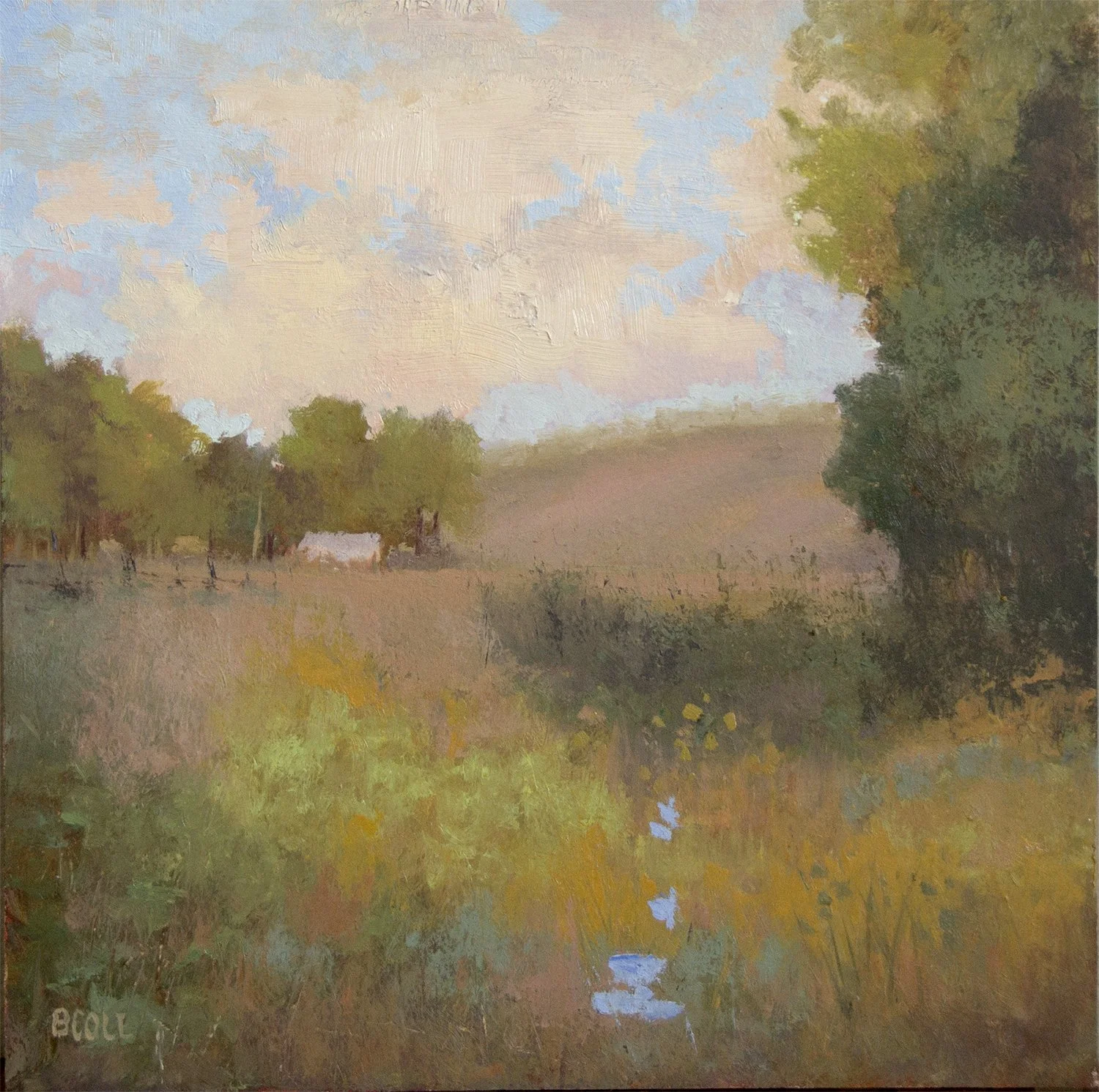 Landscape Paintings by Beth Cole, Nebraska Artist — Beth Cole