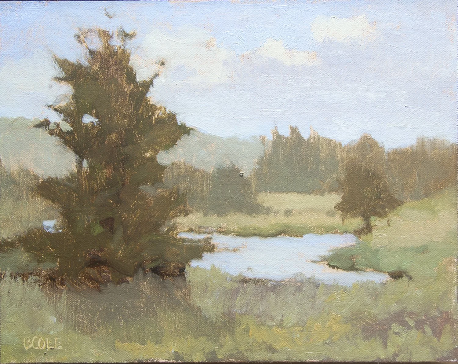 Landscape Paintings by Beth Cole, Nebraska Artist — Beth Cole