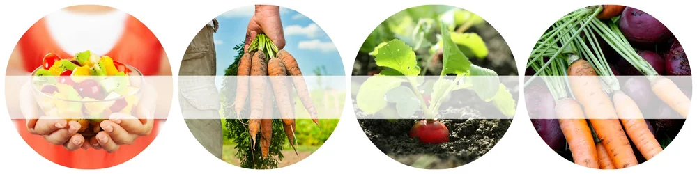 The Ultimate Guide: All About Paleo, The Cavewoman's Diet Part 2-S & A ...